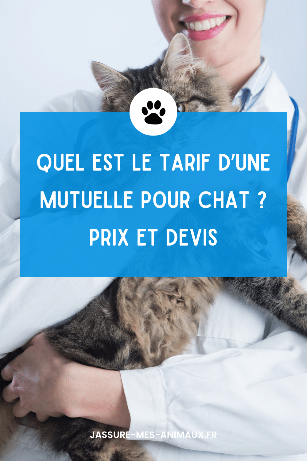 Quel est le tarif d’une mutuelle pour chat ? - JMA