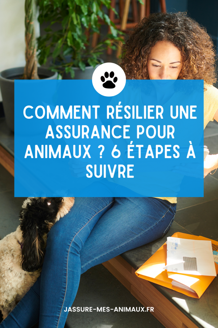 Comment résilier une assurance pour animaux ? 6 étapes à suivre - J'assure mes animaux
